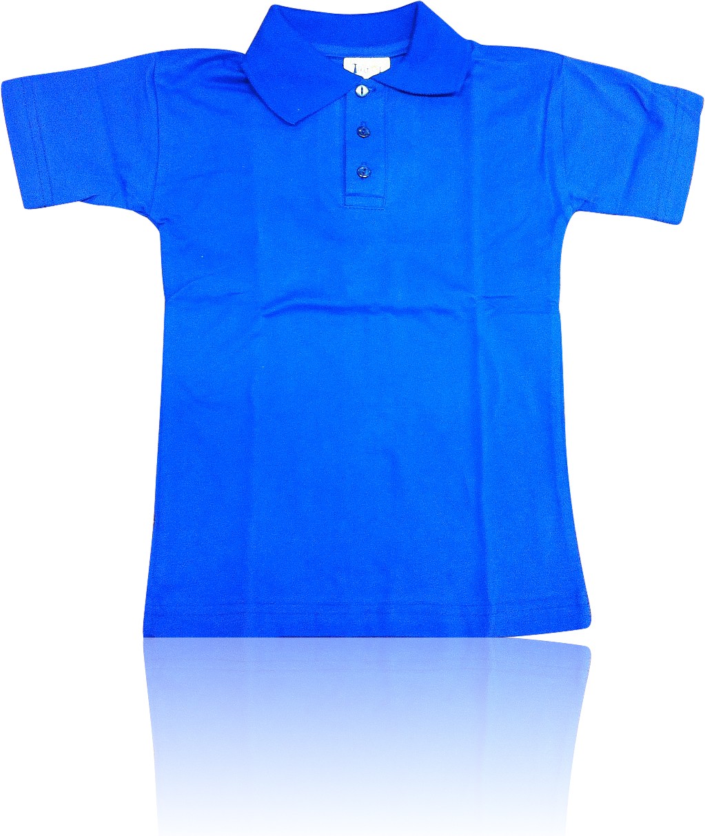 House Polo Royal Pullenvale - Sports - Pullenvale State School ...