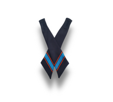 Tie Girls X RVSSC - Girls - Ripley Valley State Secondary College ...